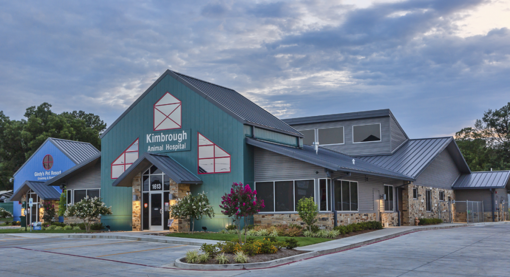 Colorful Exterior for Veterinary Hospital Comes Together Without a ...